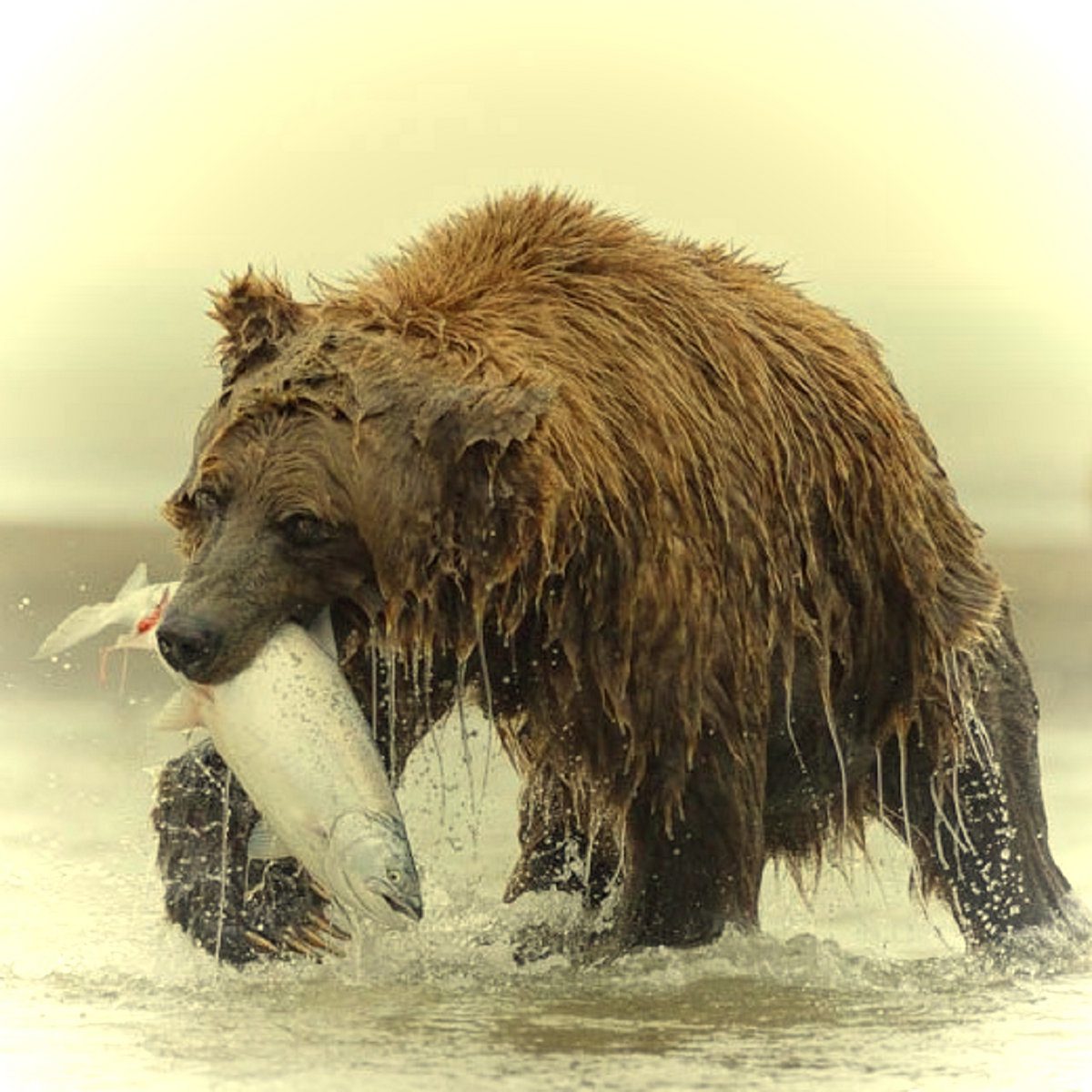 Eclyse x Mike Martinez - Quatro | Featured on Prhymal Rage